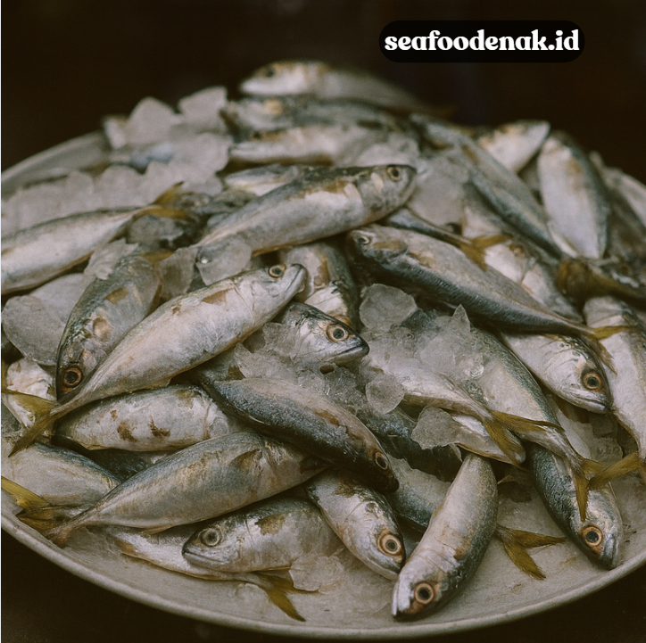 Apa Itu Seafood dan Jenis-Jenisnya